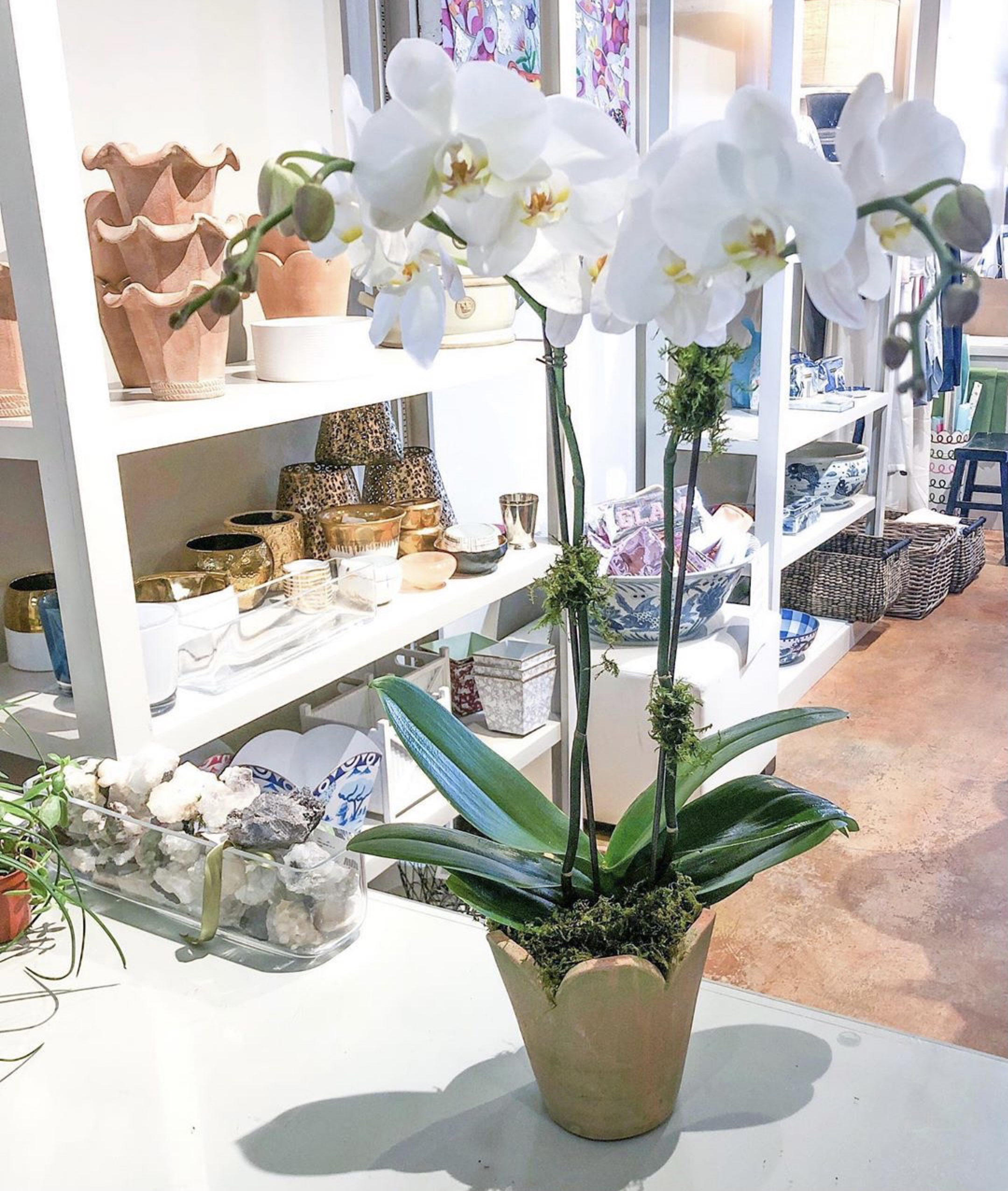 Baker Tatum Reopening Under New Ownership - San Antonio Magazine