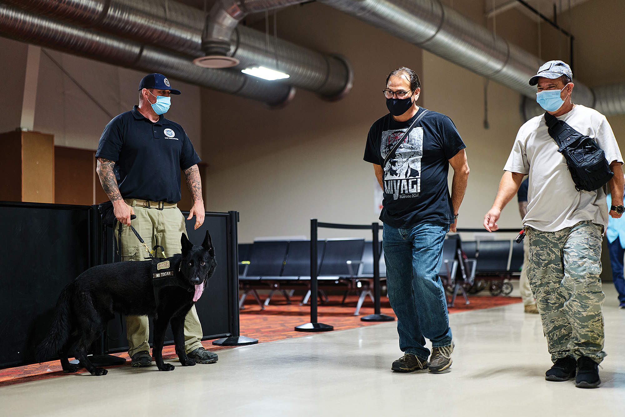 Meet San Antonio's Newest TSA Dogs | Hiswai