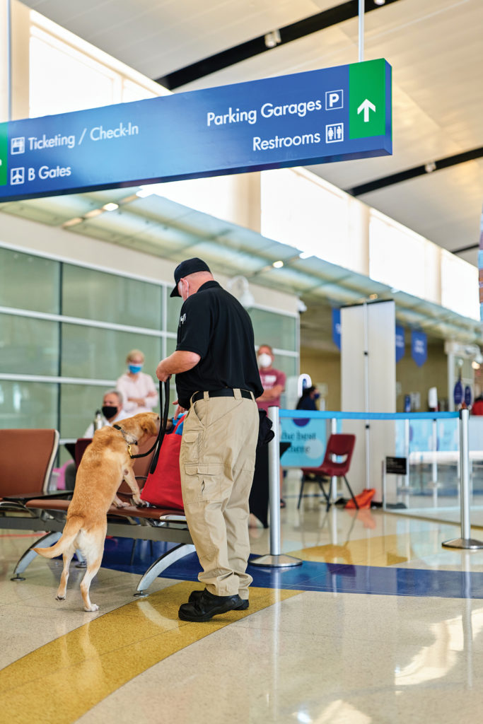 Meet San Antonio's Newest TSA Dogs | Hiswai